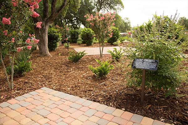 Greenhouse Treatment Center - Reviews and Information | American ...